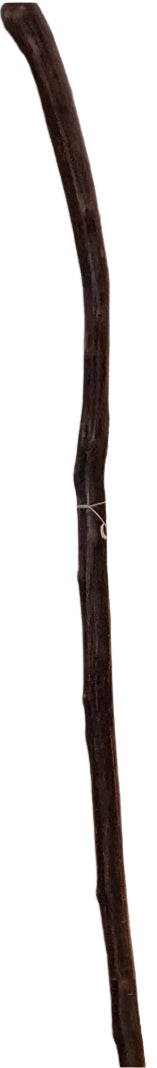 Bohemian Walking Sticks - CLOSE OUT SPECIAL – The Wheeling Artisan ...