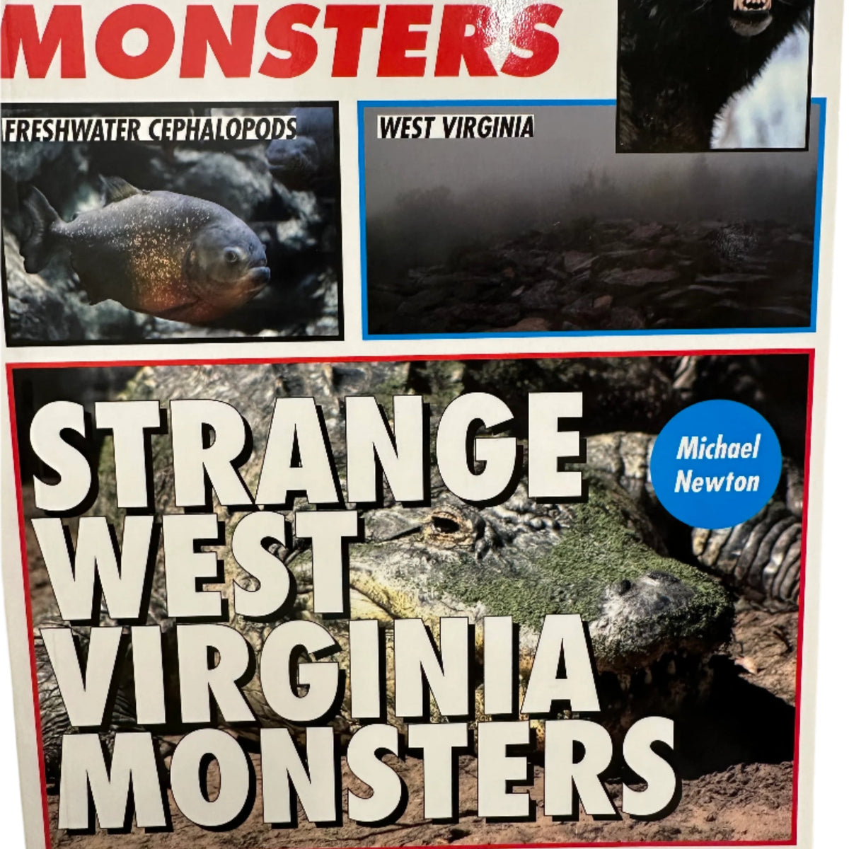 Strange WV Monsters from WV Book Company – The Wheeling Artisan Center Shop