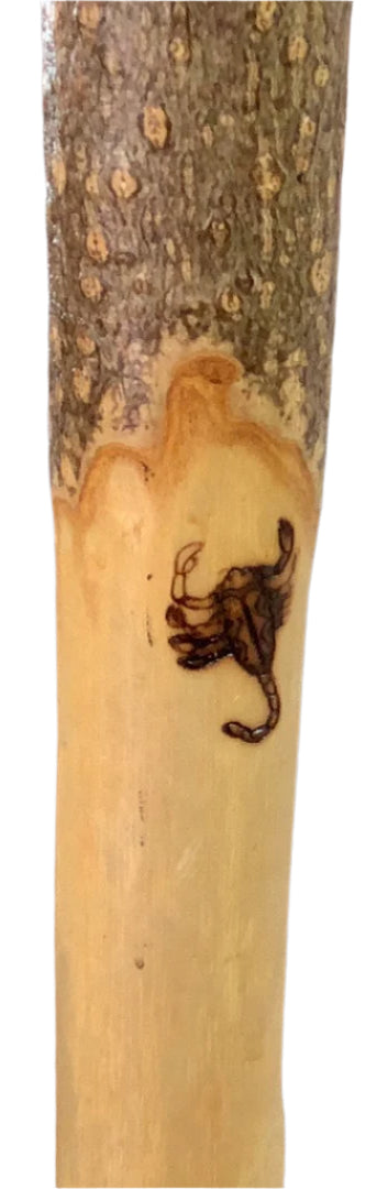 Walking Sticks from Bohemian Walking Sticks – The Wheeling Artisan ...