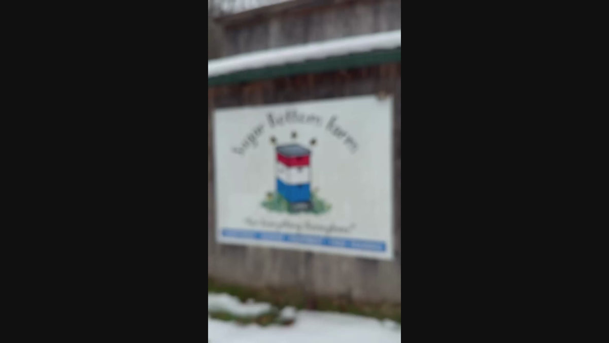 Single Serving WV Honey Packet from Sugar Bottom Farm – The Wheeling ...